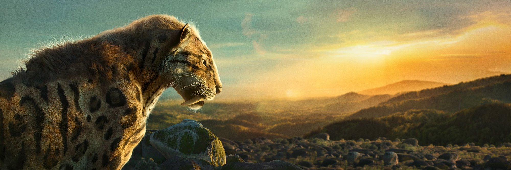 Diggers Factory - Vinyl Records in limited editions