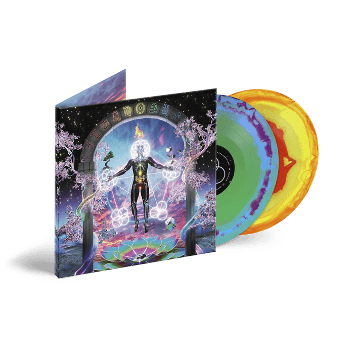 Vinyl - GRiZ - Rainbow Brain - Diggers Factory