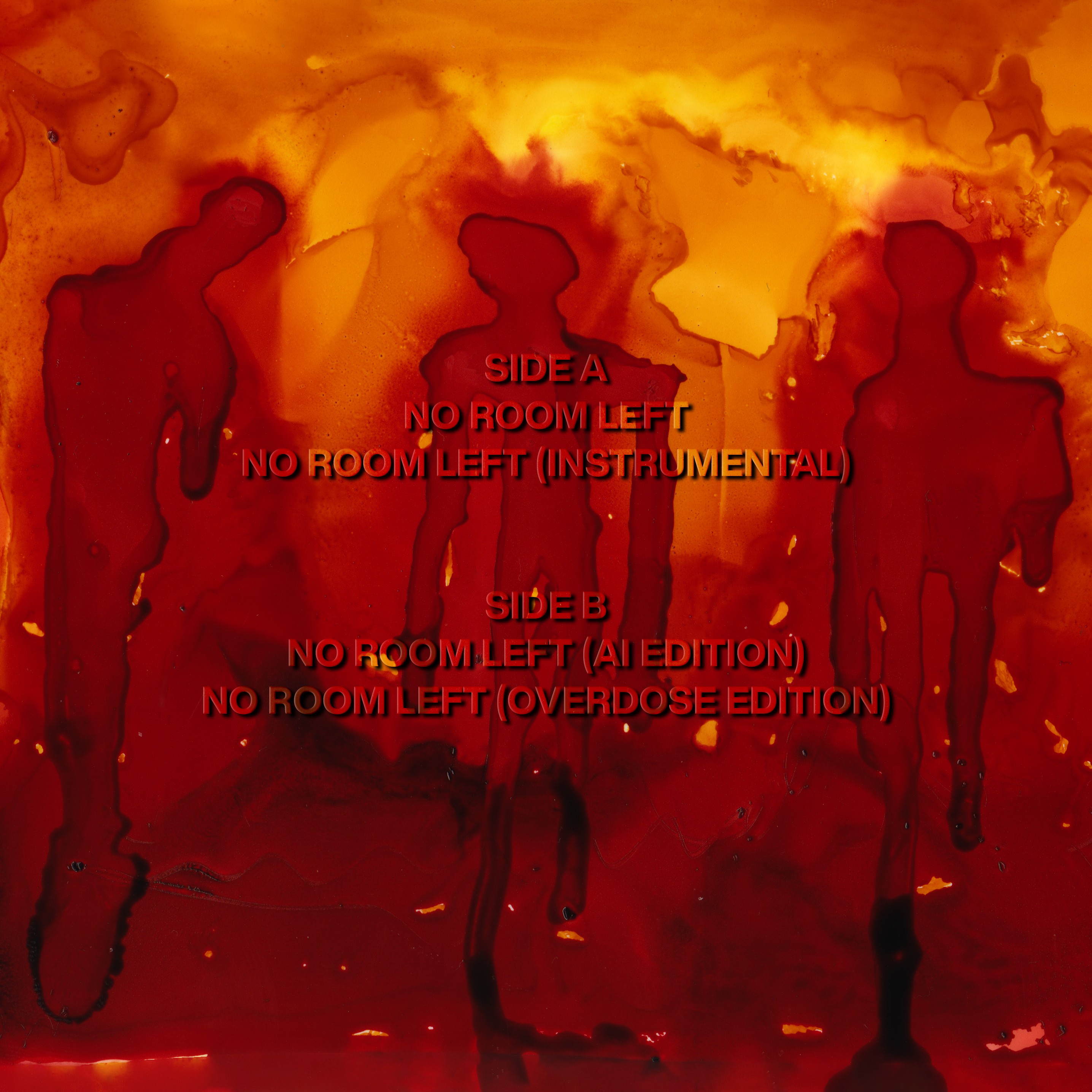 MOOKIELAKA - NO ROOM LEFT - Numbered edition - Diggers Factory