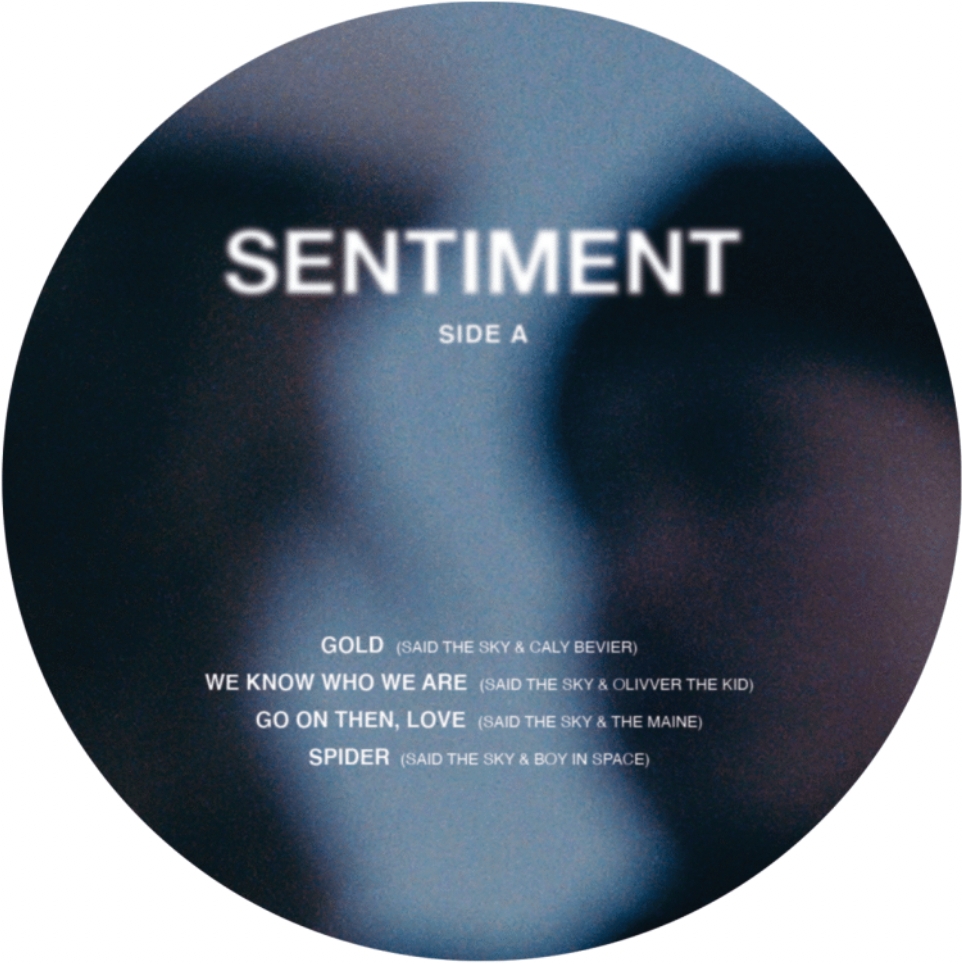 Said The Sky - Sentiment - Diggers Factory