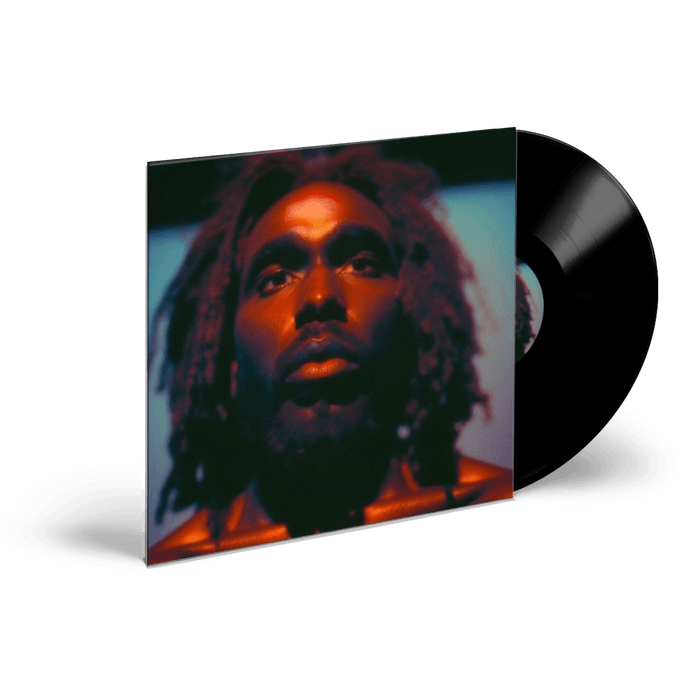 Vinyl - Sean Leon - In Loving Memory - Hand numbered edition - Diggers ...