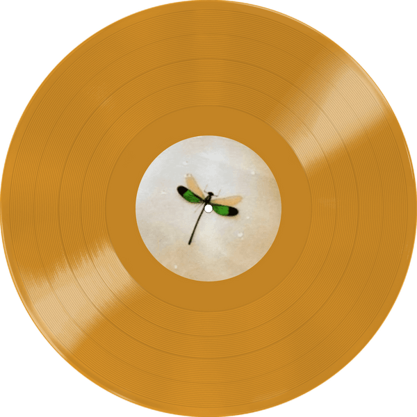 Kacy Hill - BUG - Diggers Factory