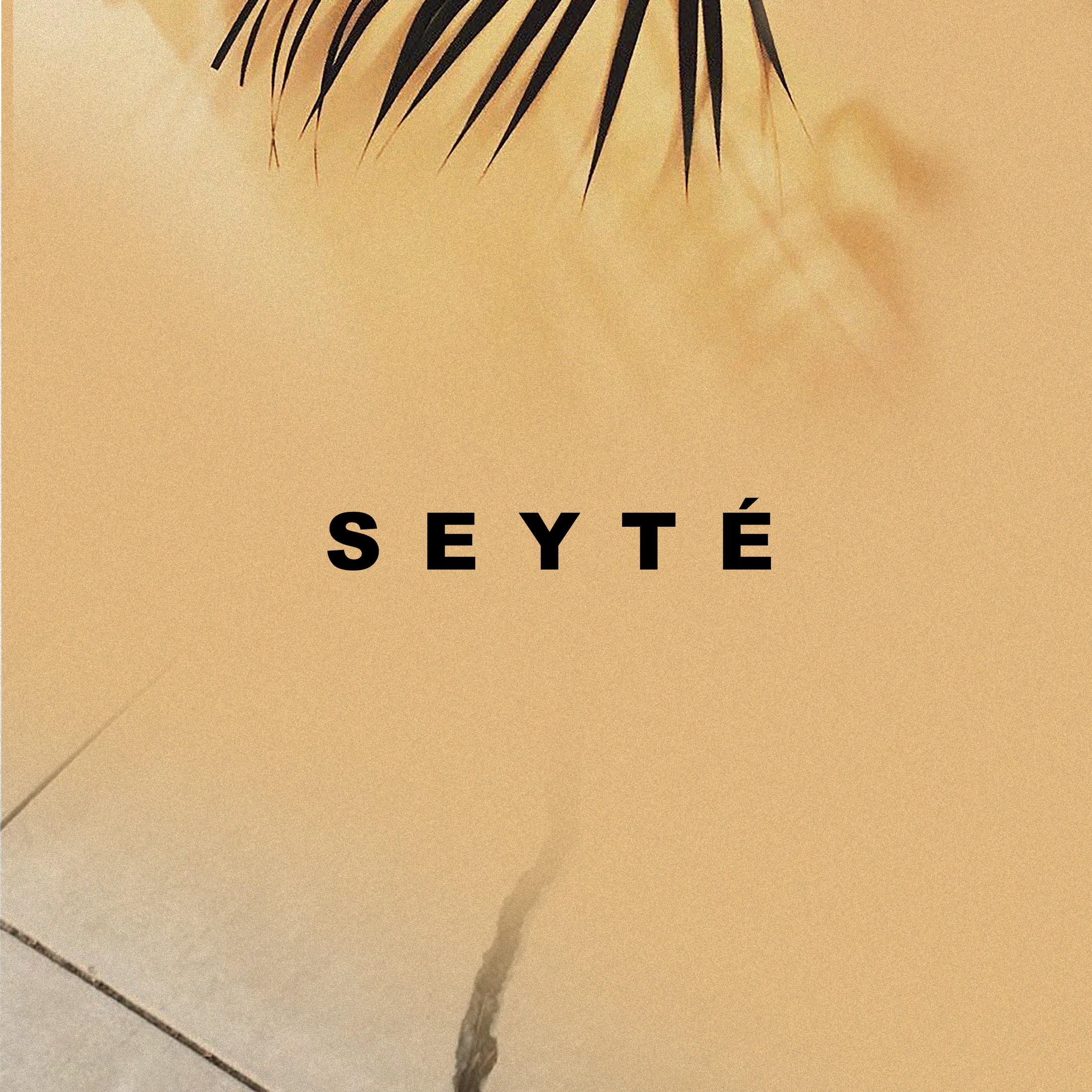 Seyté - Diggers Factory